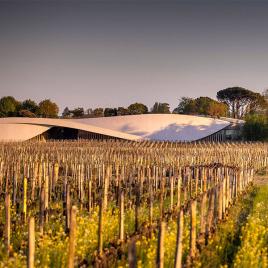 Kerry Wines | Official Distributor for the World's Finest Estates ...
